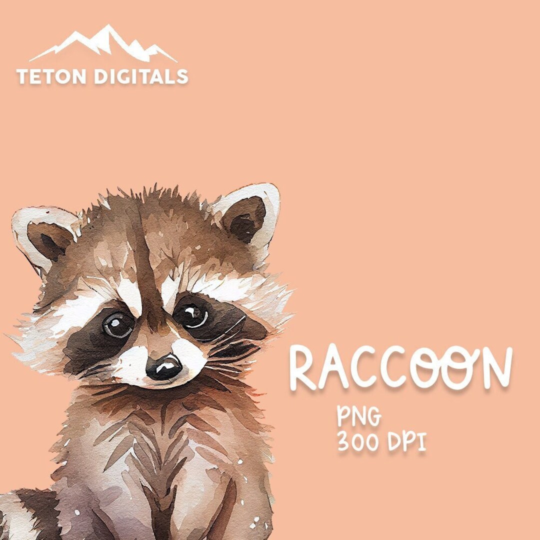 Raccoon Watercolor Clipart, Cute Raccoon Clipart PNG, Baby Raccoon ...