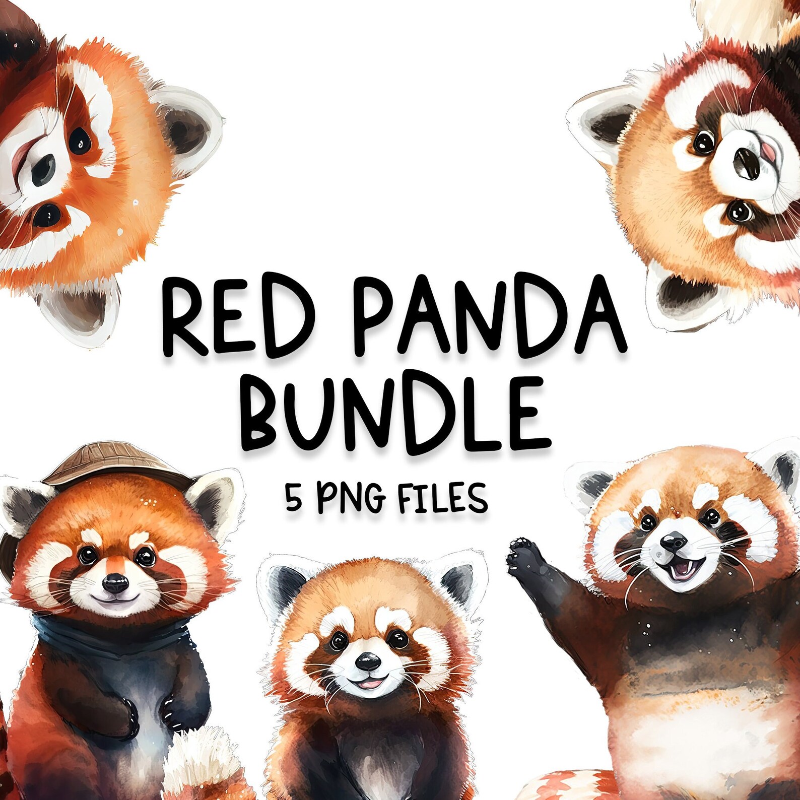Red Panda Clipart PNG Bundle, Red Panda Watercolor Clipart PNG, Red ...