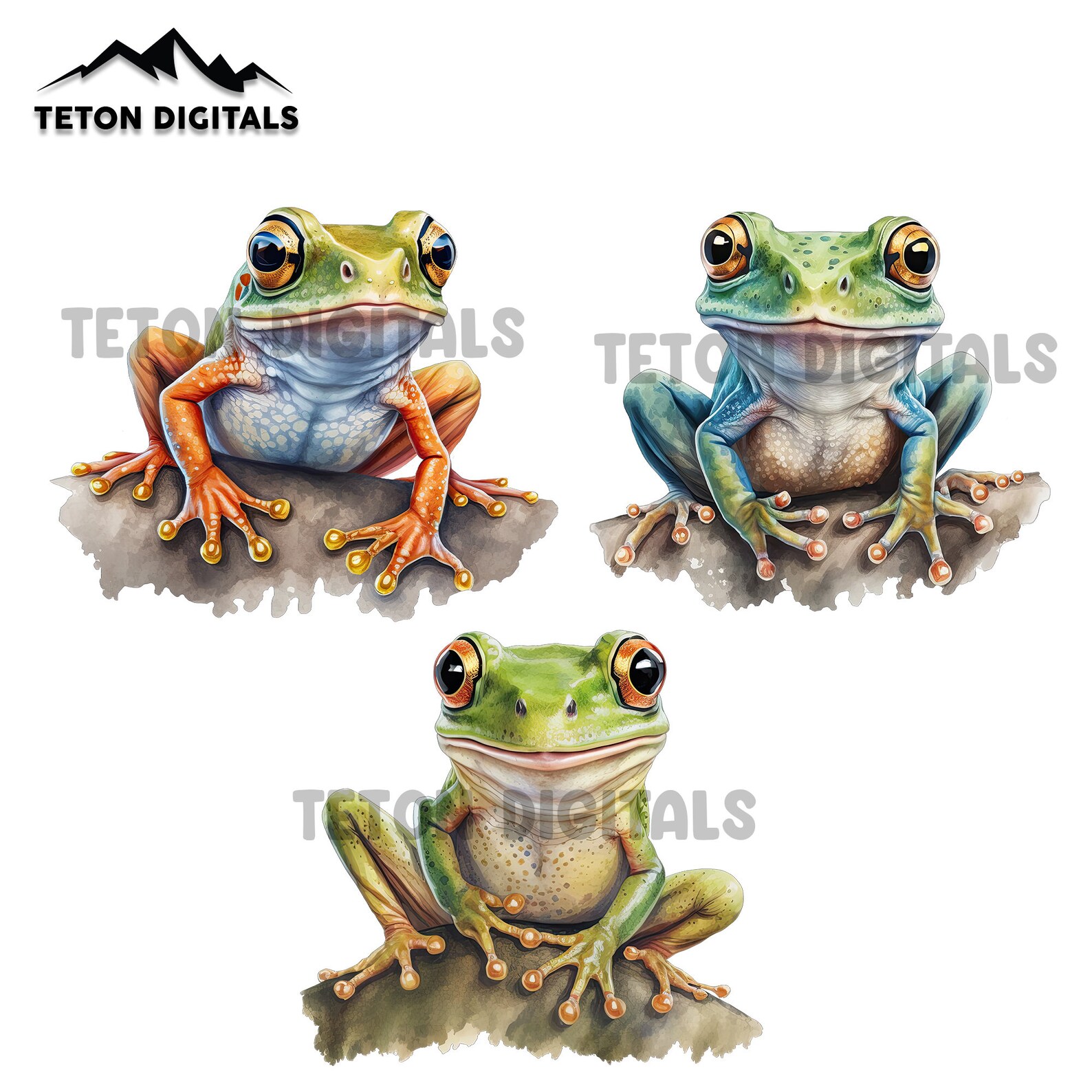 Frog Watercolor Clipart Bundle 8 Cute Frog Clipart PNG Files - Etsy