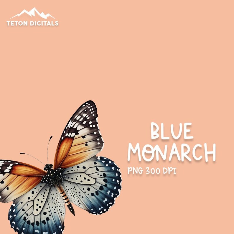Blue Monarch Butterfly Clipart, Boho Blue Monarch Butterfly Clipart PNG ...
