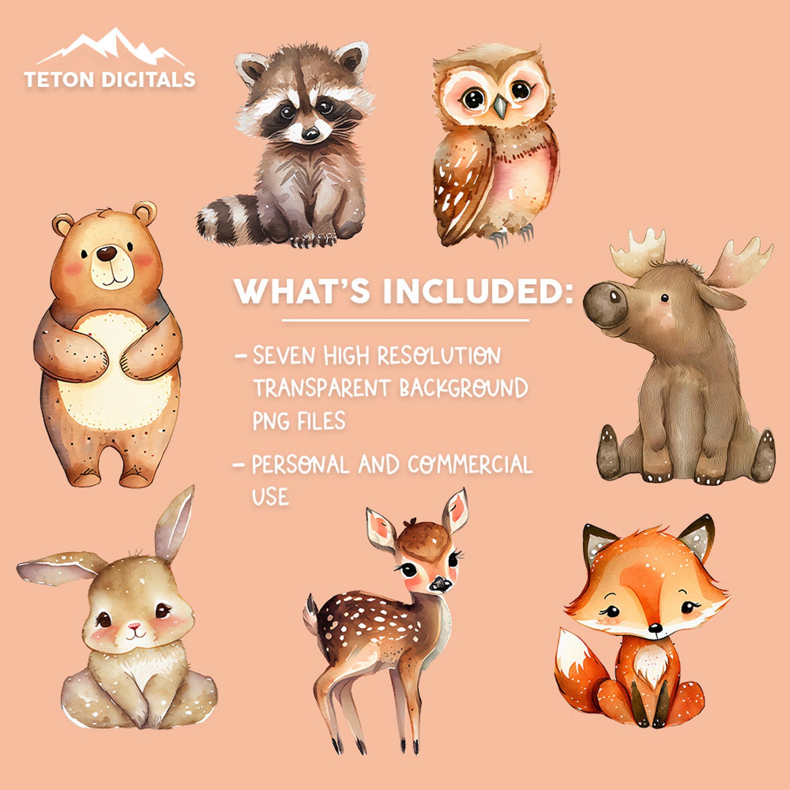 Woodland Animal Clipart PNG Bundle Cute Woodland Animal - Etsy
