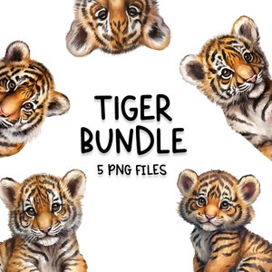 Tiger Clipart PNG Bundle, Cute Tiger Watercolor Clipart PNG, Baby Tiger ...