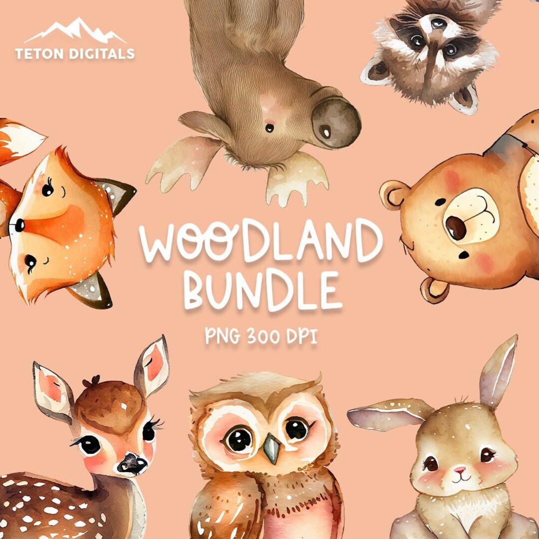 Woodland Animal Clipart PNG Bundle, Cute Woodland Animal Clipart PNG ...