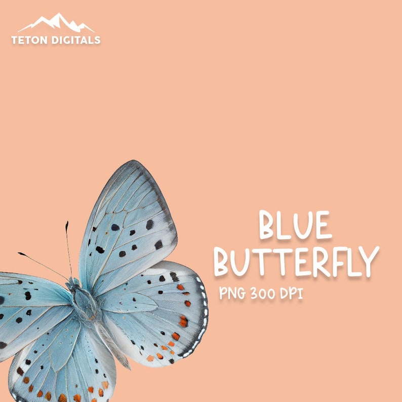 Light Blue Butterfly Clipart, Boho Light Blue Butterfly Clipart PNG ...