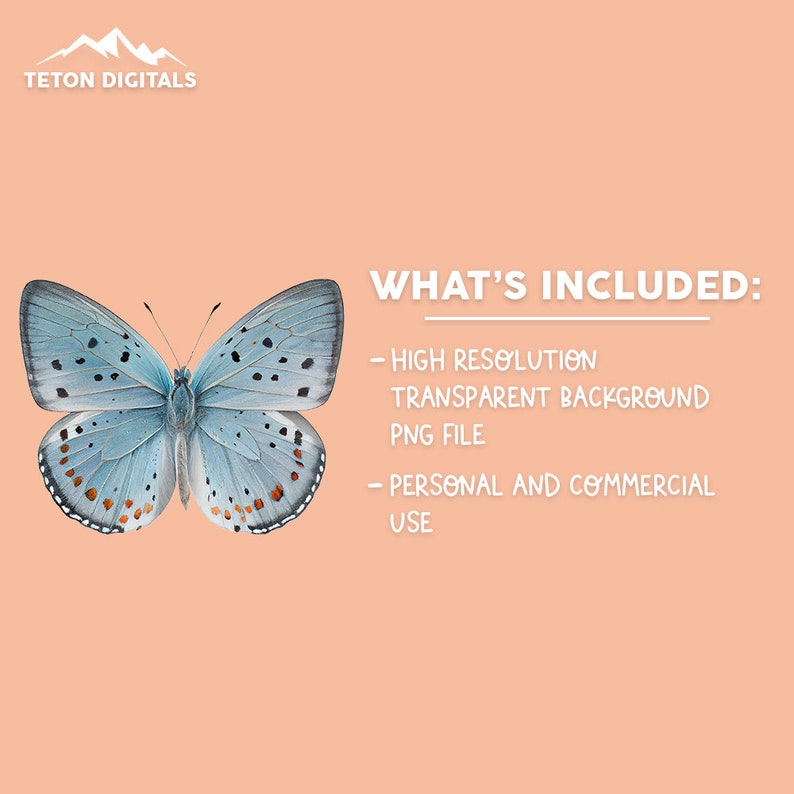 Light Blue Butterfly Clipart, Boho Light Blue Butterfly Clipart PNG ...