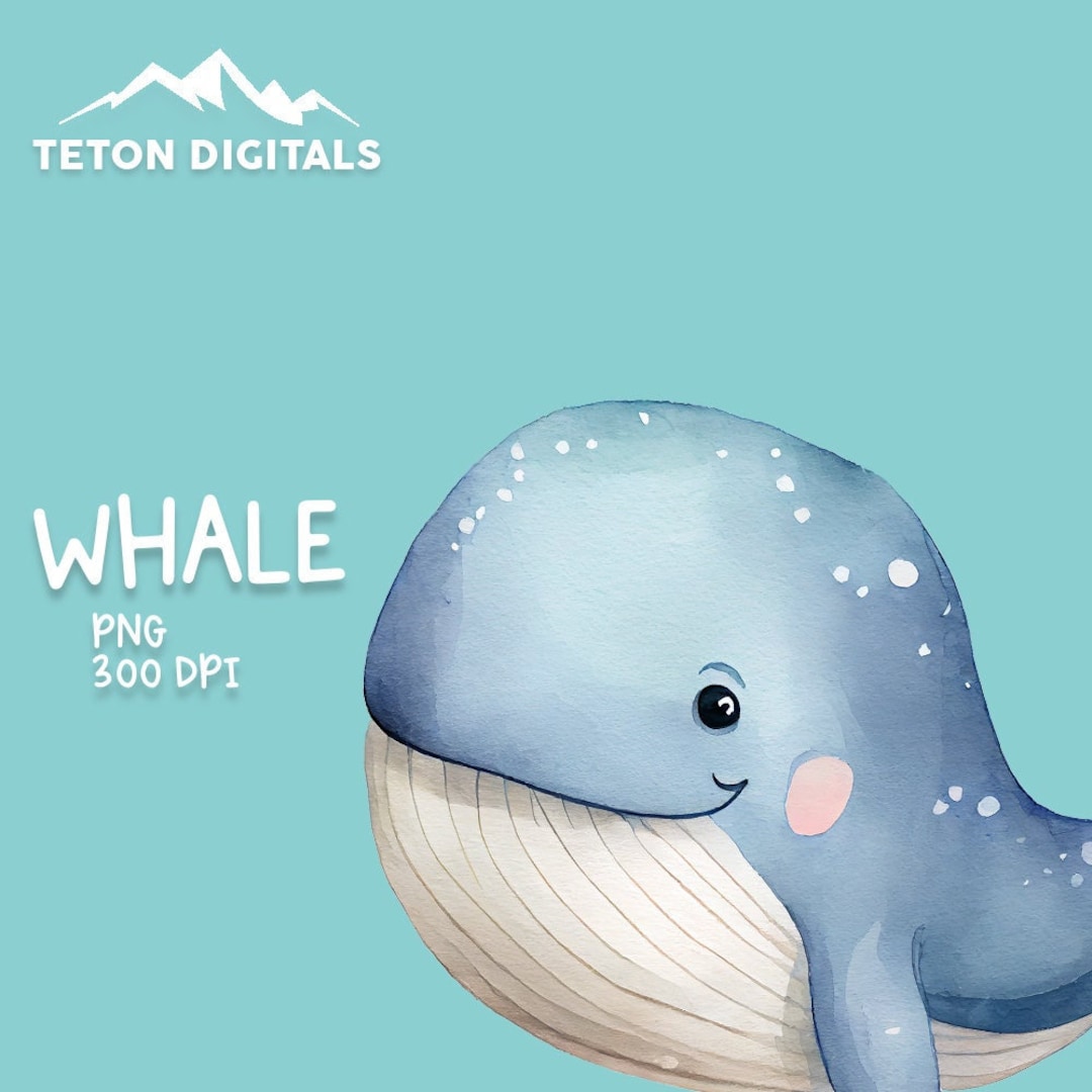 Whale Watercolor Clipart, Cute Whale Clipart PNG, Whale Clipart Digital ...