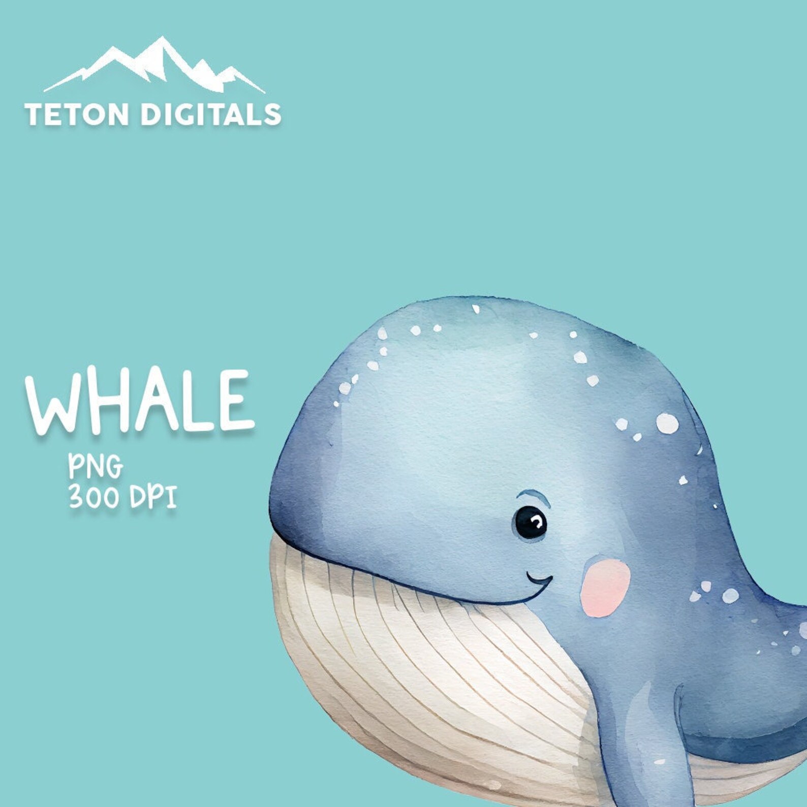 Whale Watercolor Clipart, Cute Whale Clipart PNG, Whale Clipart Digital ...