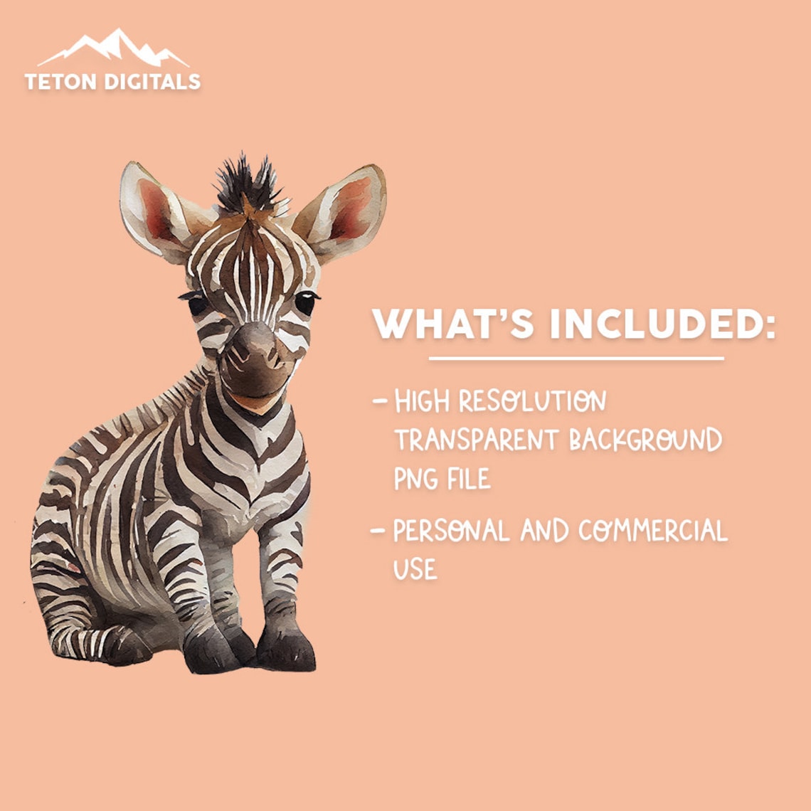 Zebra Watercolor Clipart Cute Zebra Clipart PNG Baby Zebra - Etsy