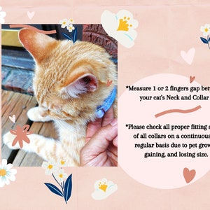 Cat Collar/binx Cat Collar/breakaway Cat Collar/cotton Cat - Etsy