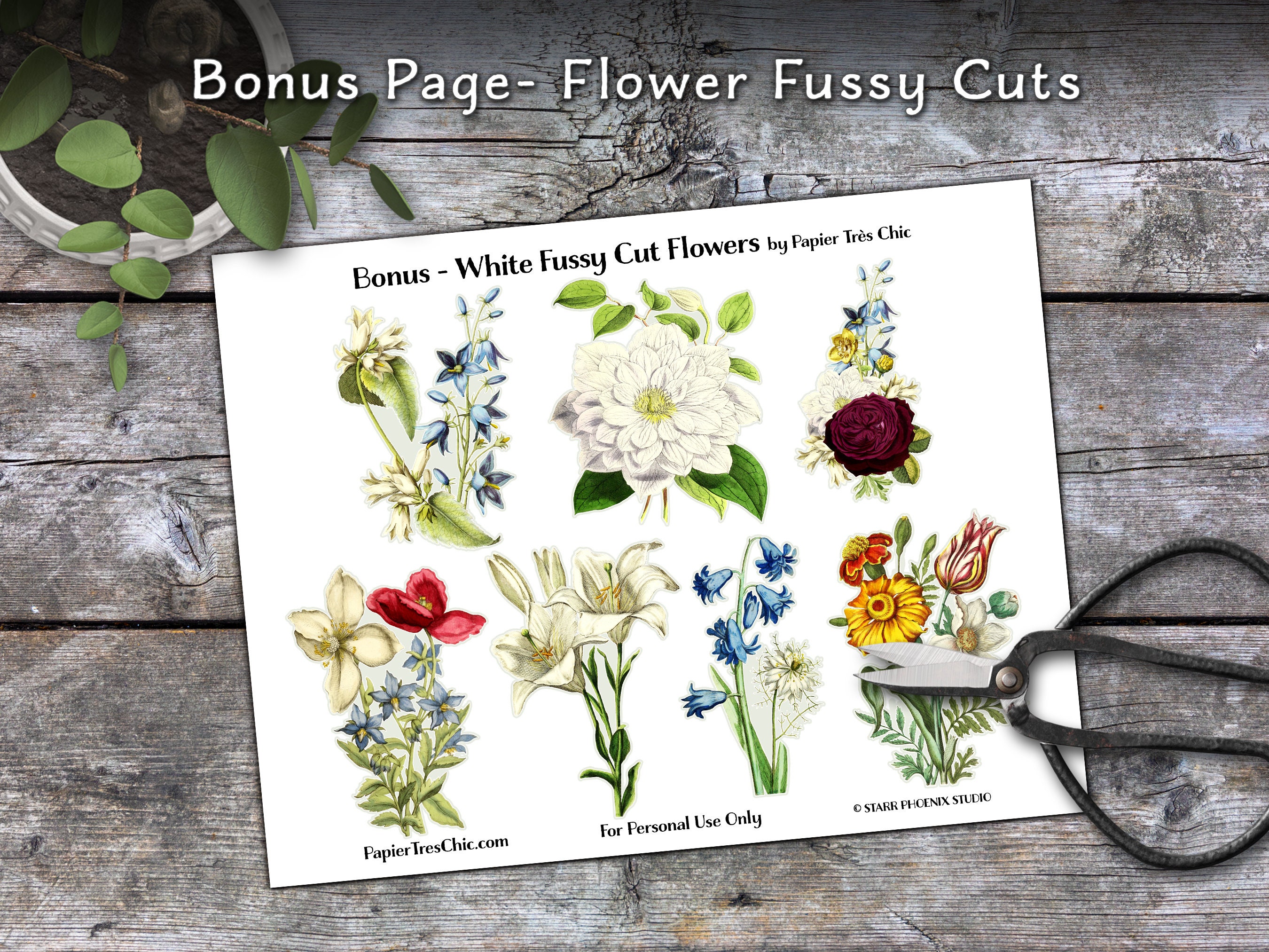 Sage Rugged Tattered Papers, Sage Antique Papers Kit, Sage, Journal Kit ...