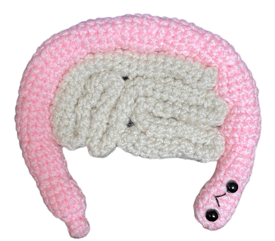 Crochet Amigurumi Intestines, Crochet Internal Organs, Gift for Doctor ...