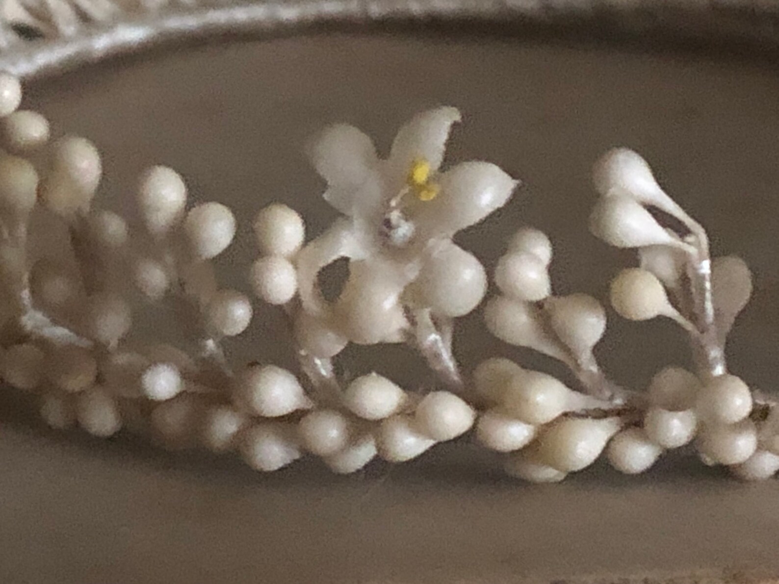 Beautiful Vintage 1900s Ivory Wax Flower Crown Wedding Crown - Etsy