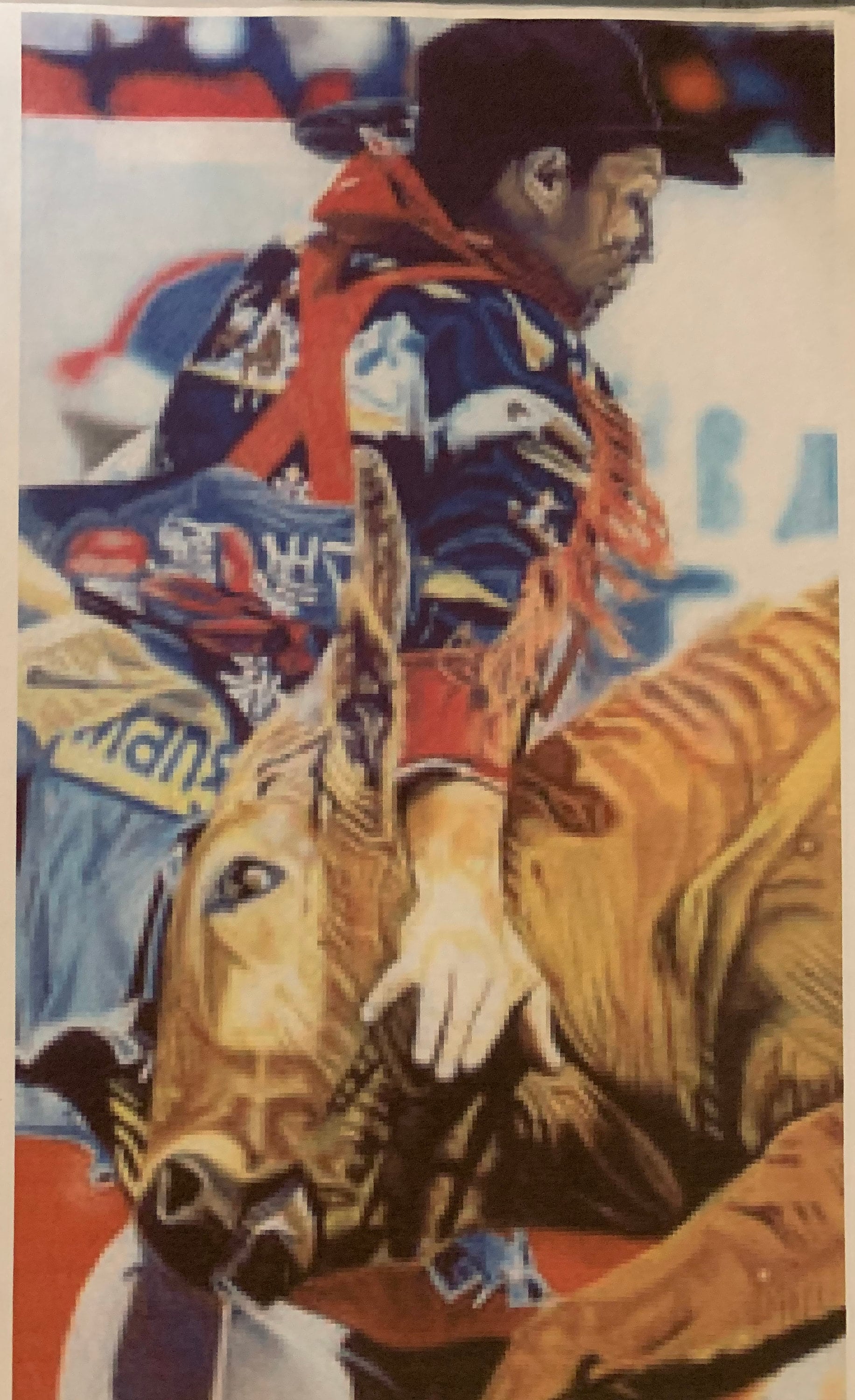 Rodeo Clown for sale | Only 3 left at -65%