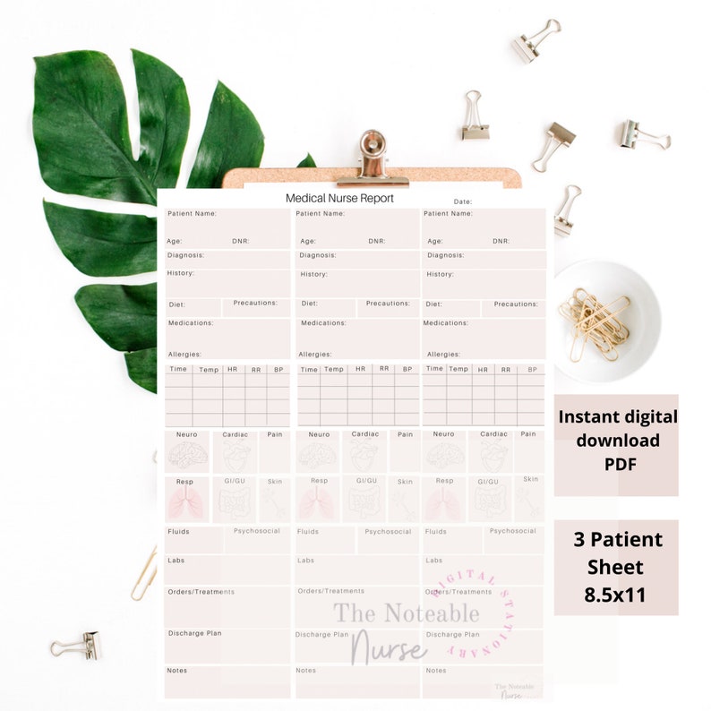 Nurse Medical Report, 3 Patient Report, Nurse Notepad, Printable Notes ...