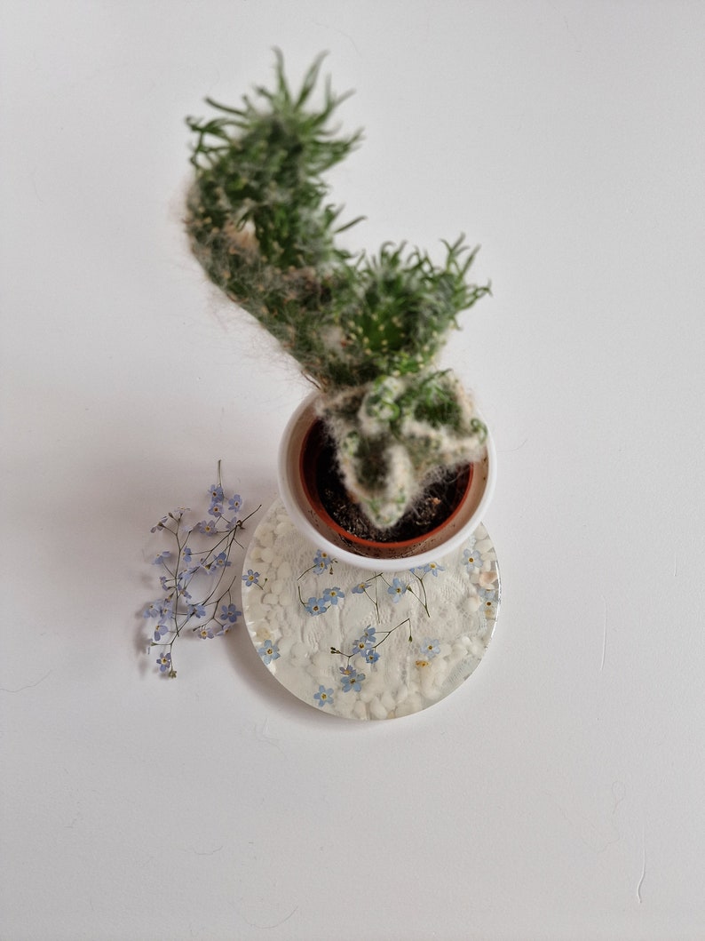 Pressed Forget Me Not Flowers Coaster White Lace Coaster - Etsy