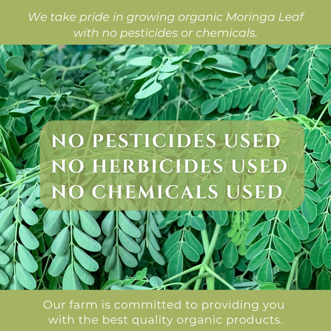 Organic Moringa Leaf Powder Green Matcha Tea Thai Herbal Spices ...