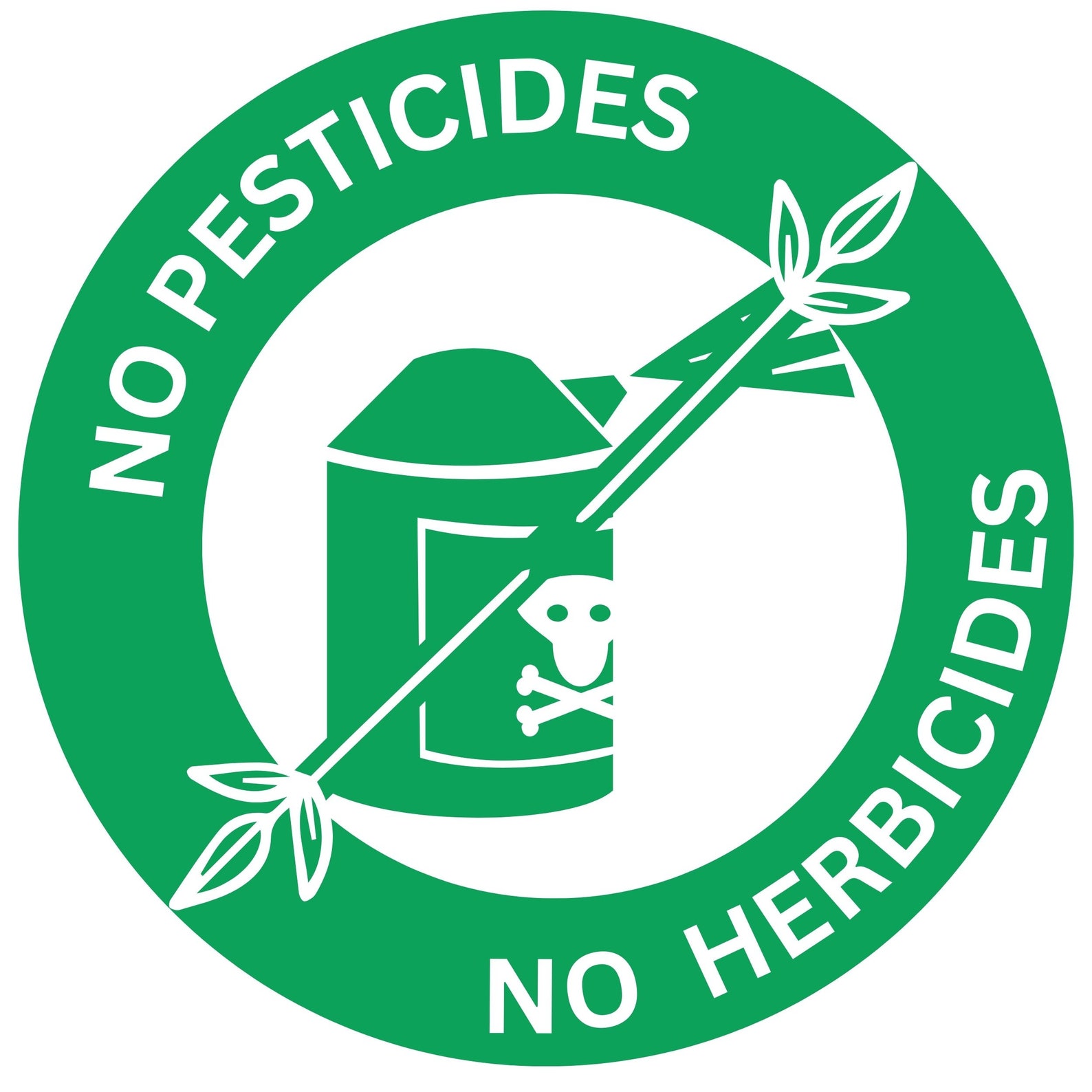 Organic Moringa Leaf Powder Green Matcha Tea Thai Herbal Spices ...