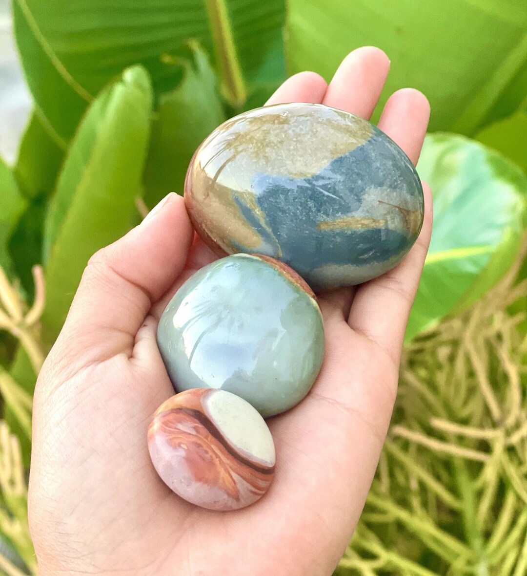 Ocean Jasper Palm Stone Polychrome Jasper Polished Gemstone Jasper Palm ...
