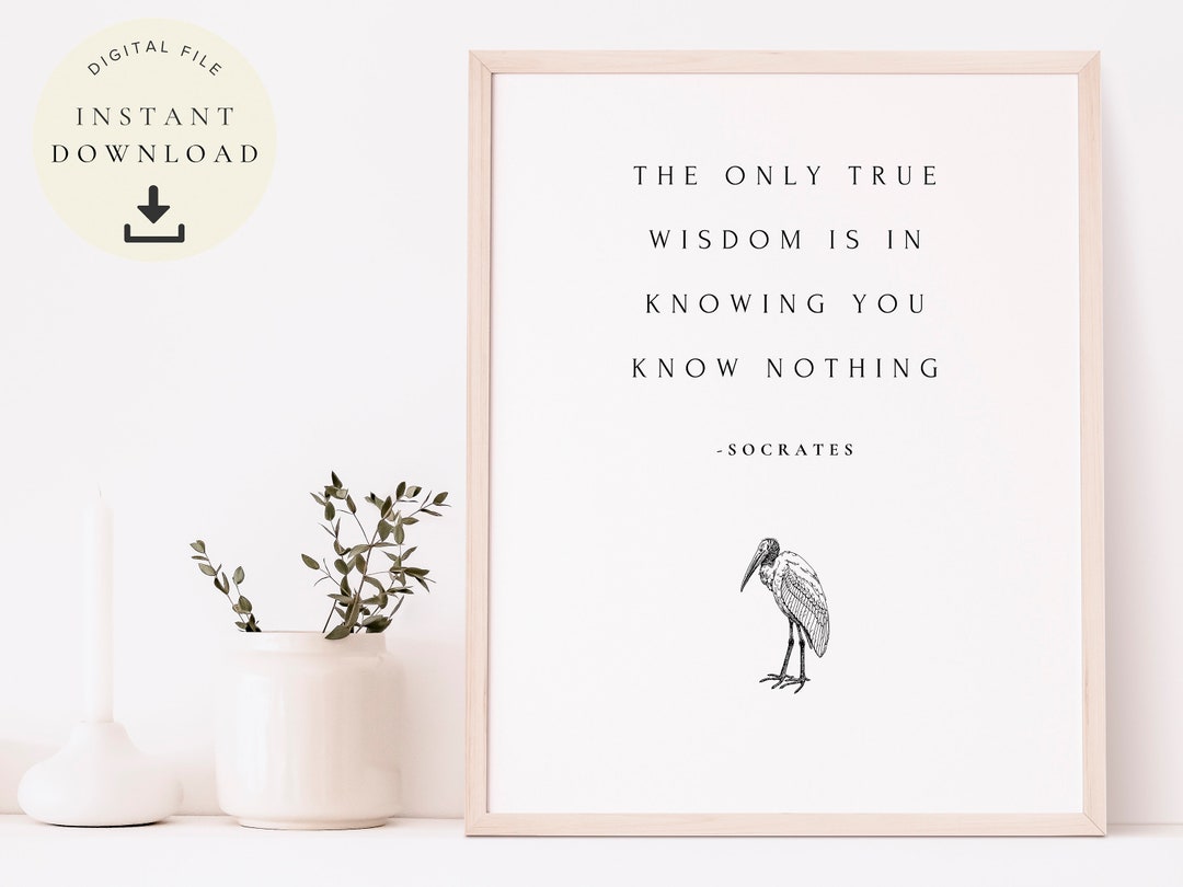 Socrates Décor, Greek Philosophers, Inspirational Print, Motivational ...