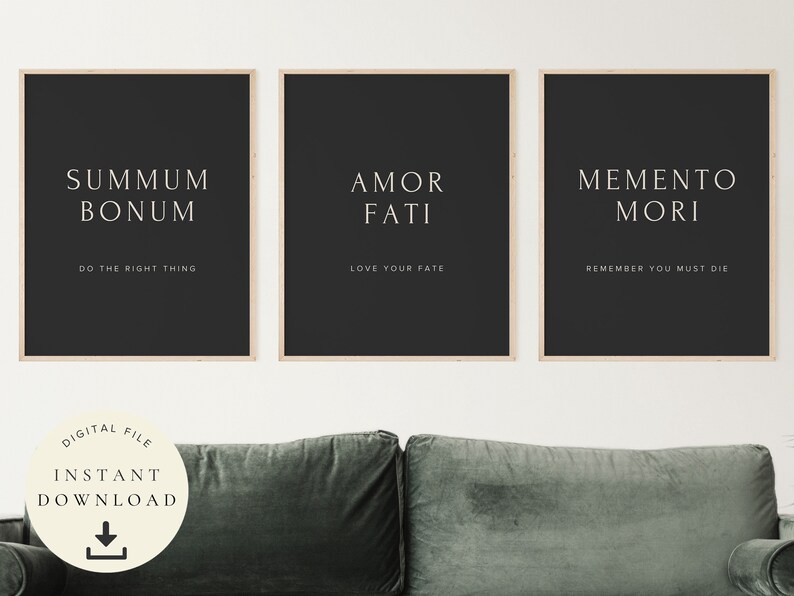 Summum Bonum Wall Art, Marcus Aurelius Meditations, Amor Fati Gift ...