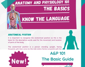 Nursing Anatomy and Physiology Cheat Sheet - Etsy
