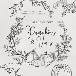 Fall Clipart Pumpkin Line Art Autumn Clipart Hand Drawn - Etsy