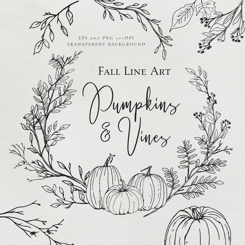 Fall Clipart Pumpkin Line Art Autumn Clipart Hand Drawn - Etsy