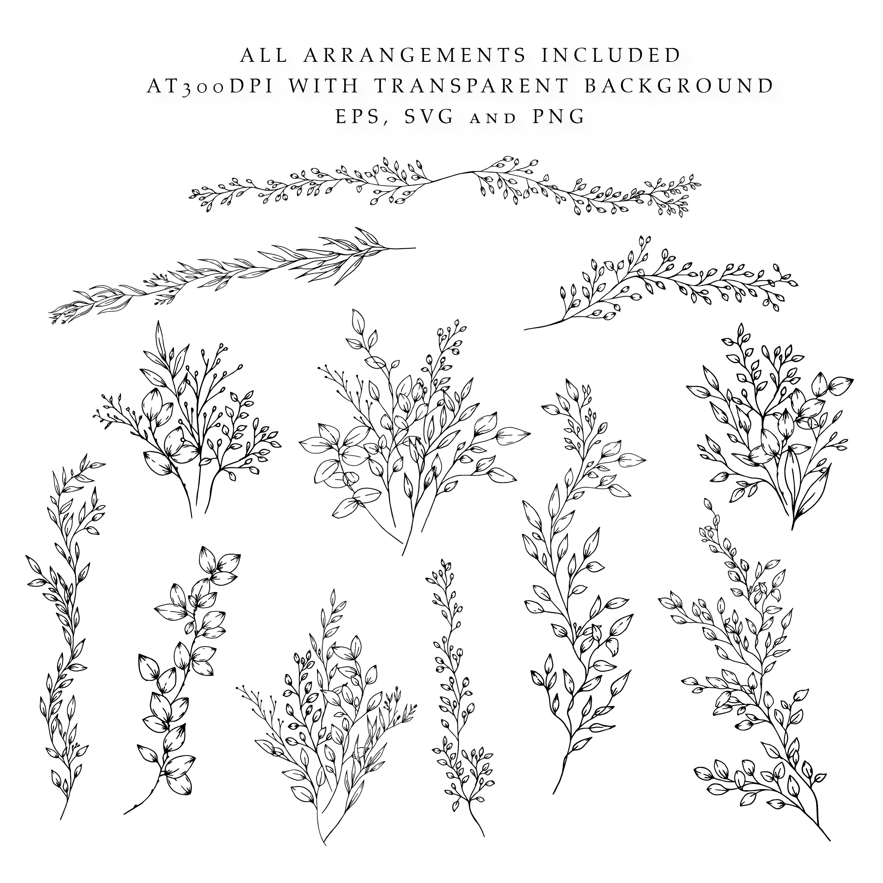 Botanical Leaves and Branches SVG, Fall Greenery Line Art, Hand Drawn ...
