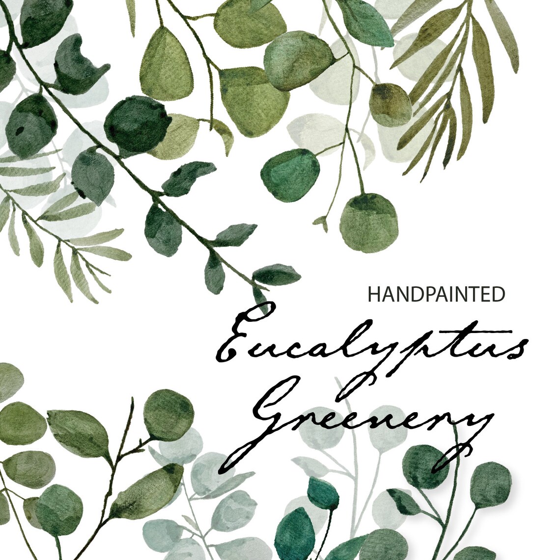 Eucalyptus Greenery Clip Art Wreath Borders DIY Png Files - Etsy