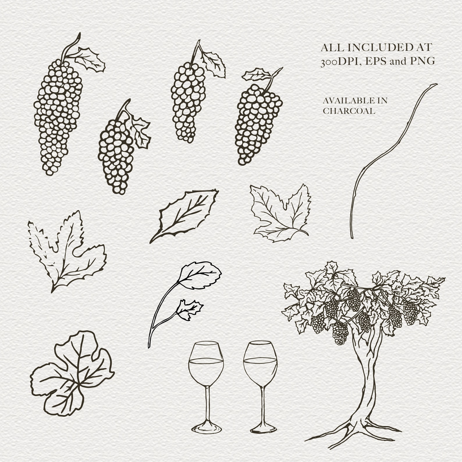 Grape Vines Hand Drawn Line Art Hand Drawn Grape Vines Wine - Etsy