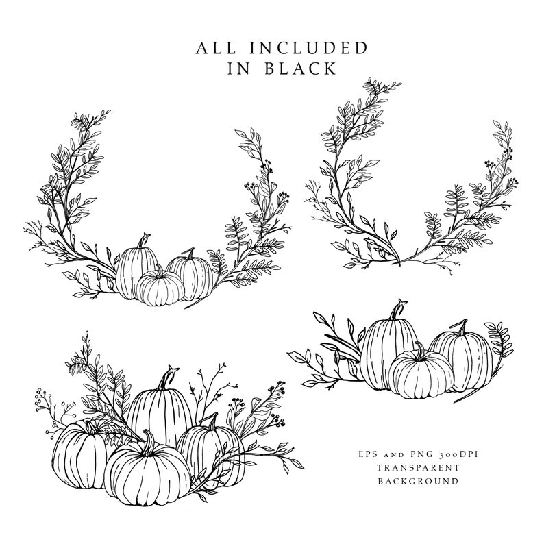 Fall Clipart Pumpkin Line Art Autumn Clipart Hand Drawn - Etsy
