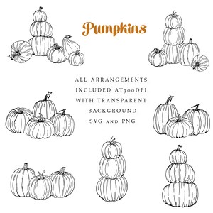 Fall Clipart, Pumpkin Line Art, Autumn Clipart, Hand Drawn Pumpkins and ...