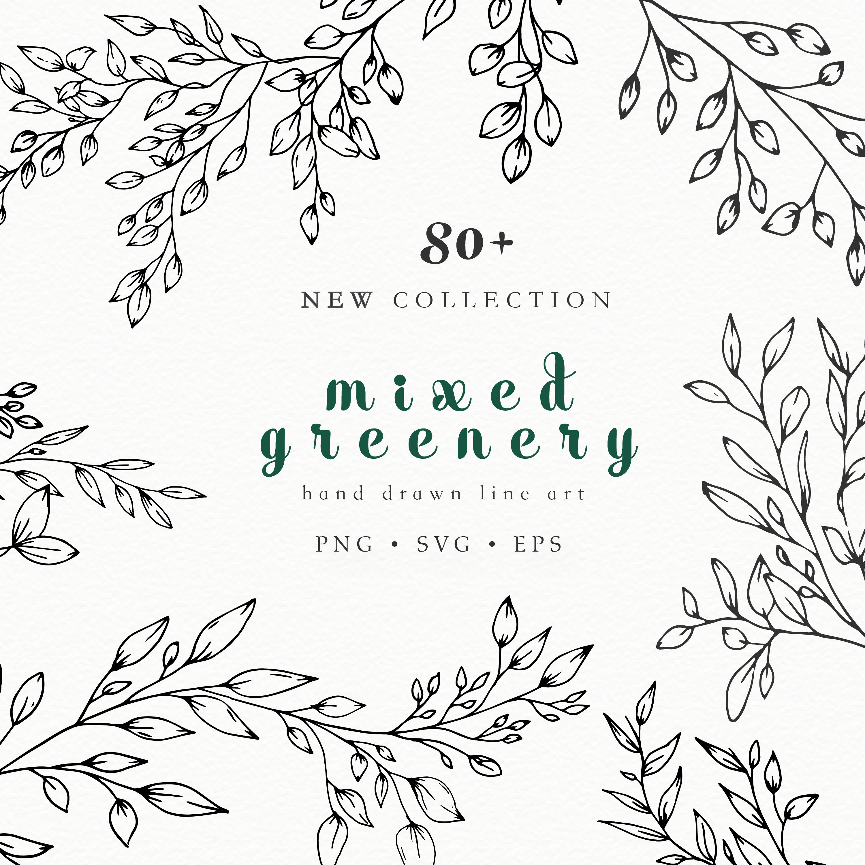 Botanical Leaves and Branches SVG, Fall Greenery Line Art, Hand Drawn ...