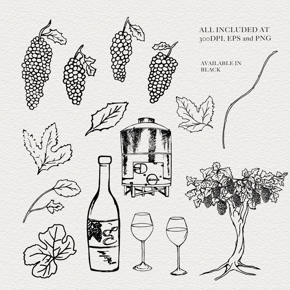 Grape Vines Hand Drawn Line Art Hand Drawn Grape Vines Wine - Etsy