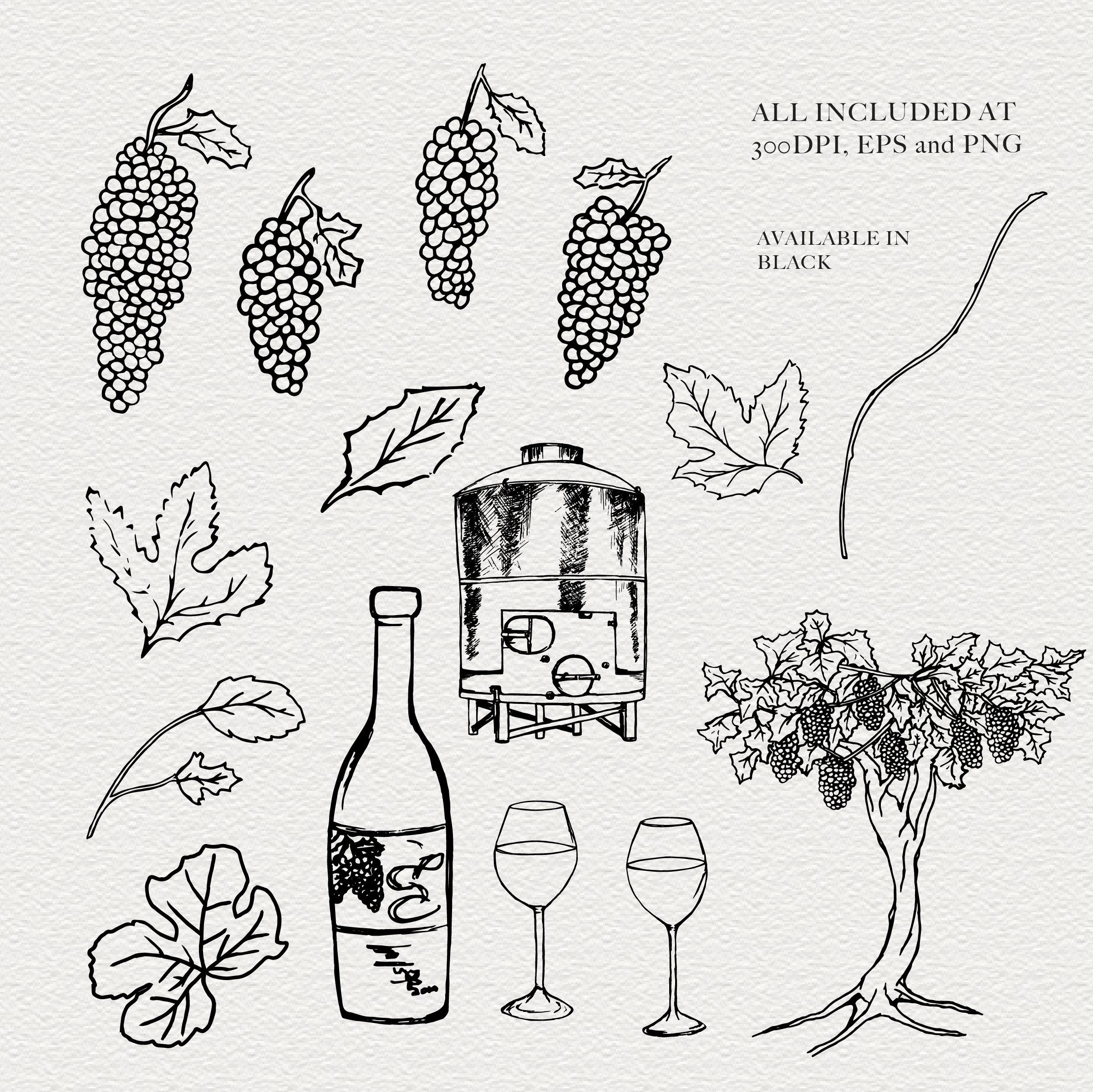 Grape Vines Hand Drawn Line Art Hand Drawn Grape Vines Wine - Etsy