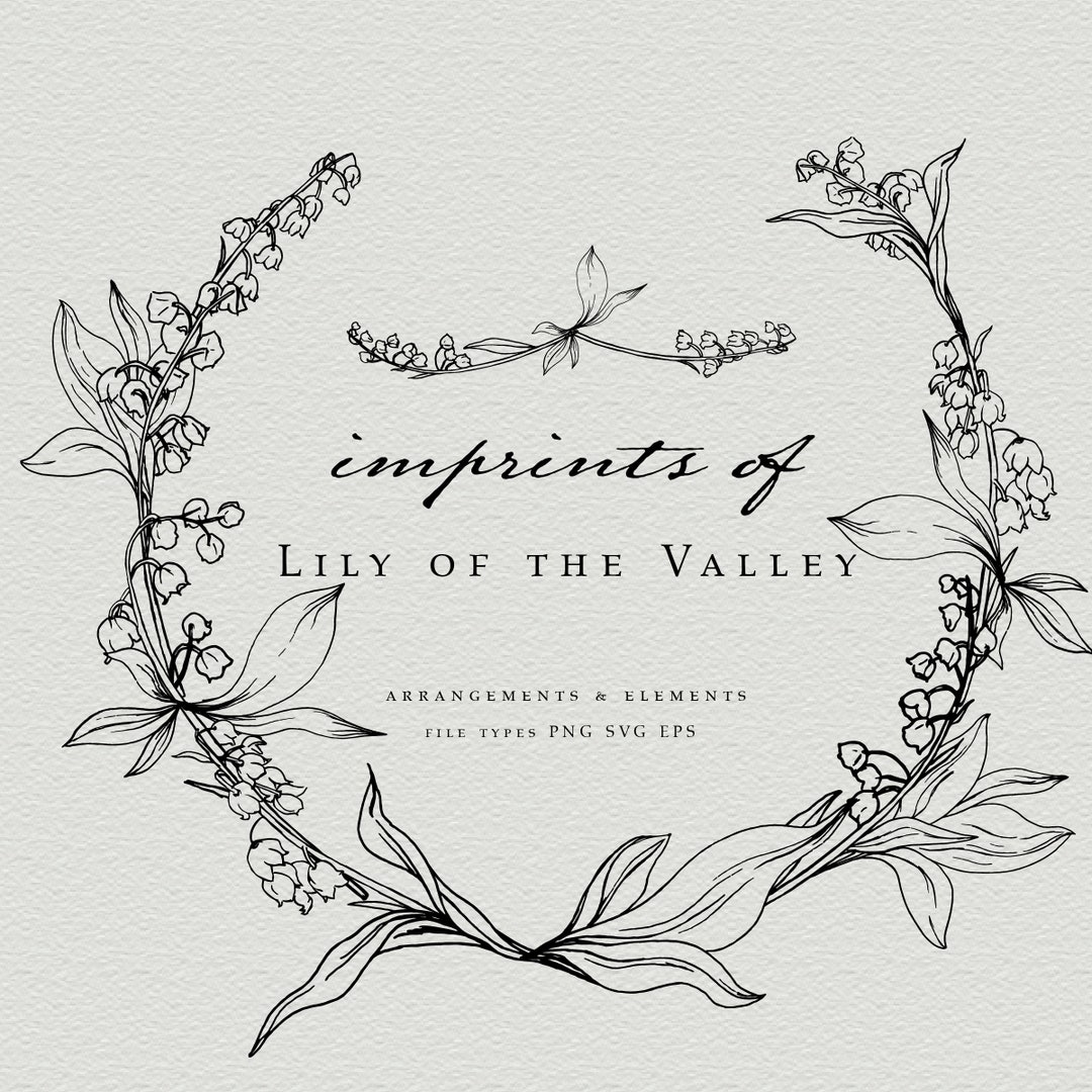 Lily of the Valley Hand Drawn Line Art, Organic Botanical Wedding Line ...