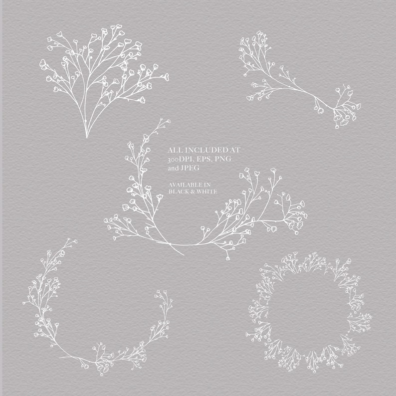 Baby's Breath Hand Drawn Line Art Organic Botanical - Etsy Canada