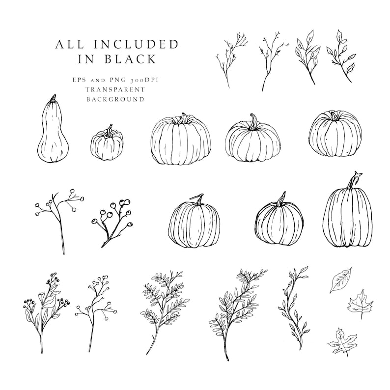 Fall Clipart Pumpkin Line Art Autumn Clipart Hand Drawn - Etsy