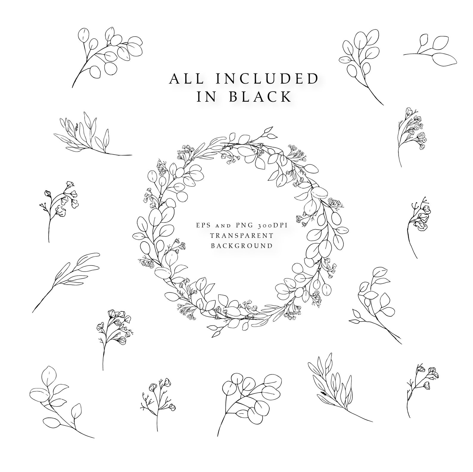 Baby's Breath Hand Drawn Line Art Eucalyptus Line Art - Etsy