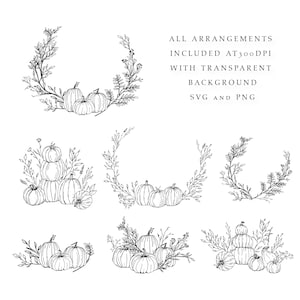 Fall Clipart, Pumpkin Line Art, Autumn Clipart, Hand Drawn Pumpkins and ...