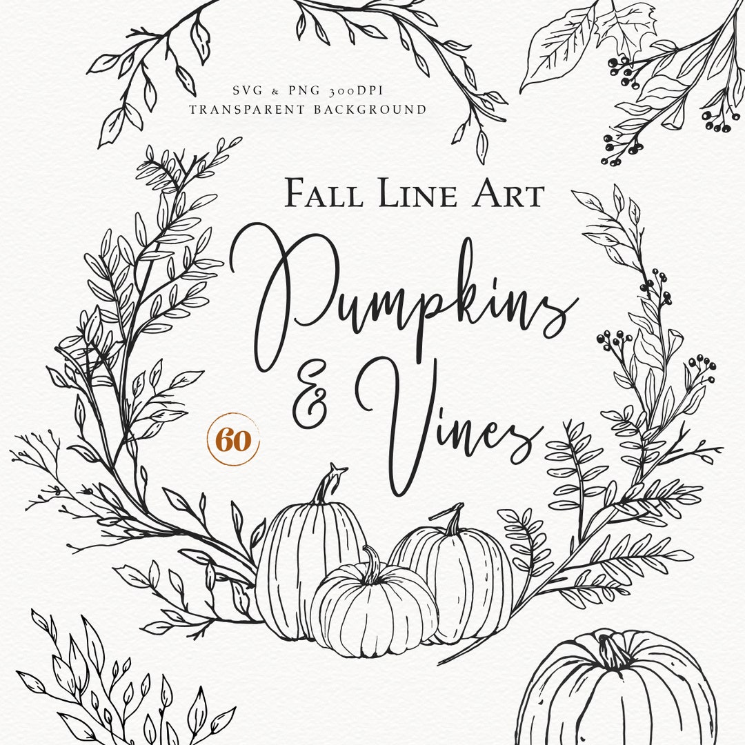 Fall Clipart, Pumpkin Line Art, Autumn Clipart, Hand Drawn Pumpkins and ...