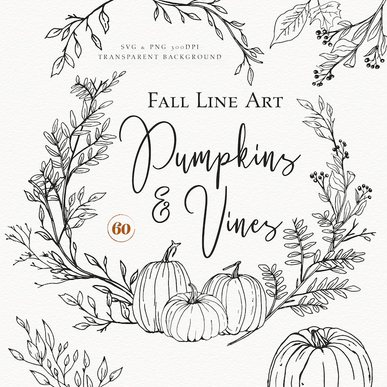 Fall Clipart, Pumpkin Line Art, Autumn Clipart, Hand Drawn Pumpkins and ...