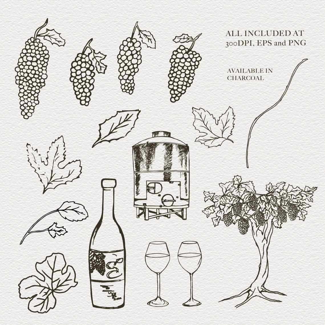 Grape Vines Hand Drawn Line Art Hand Drawn Grape Vines Wine - Etsy