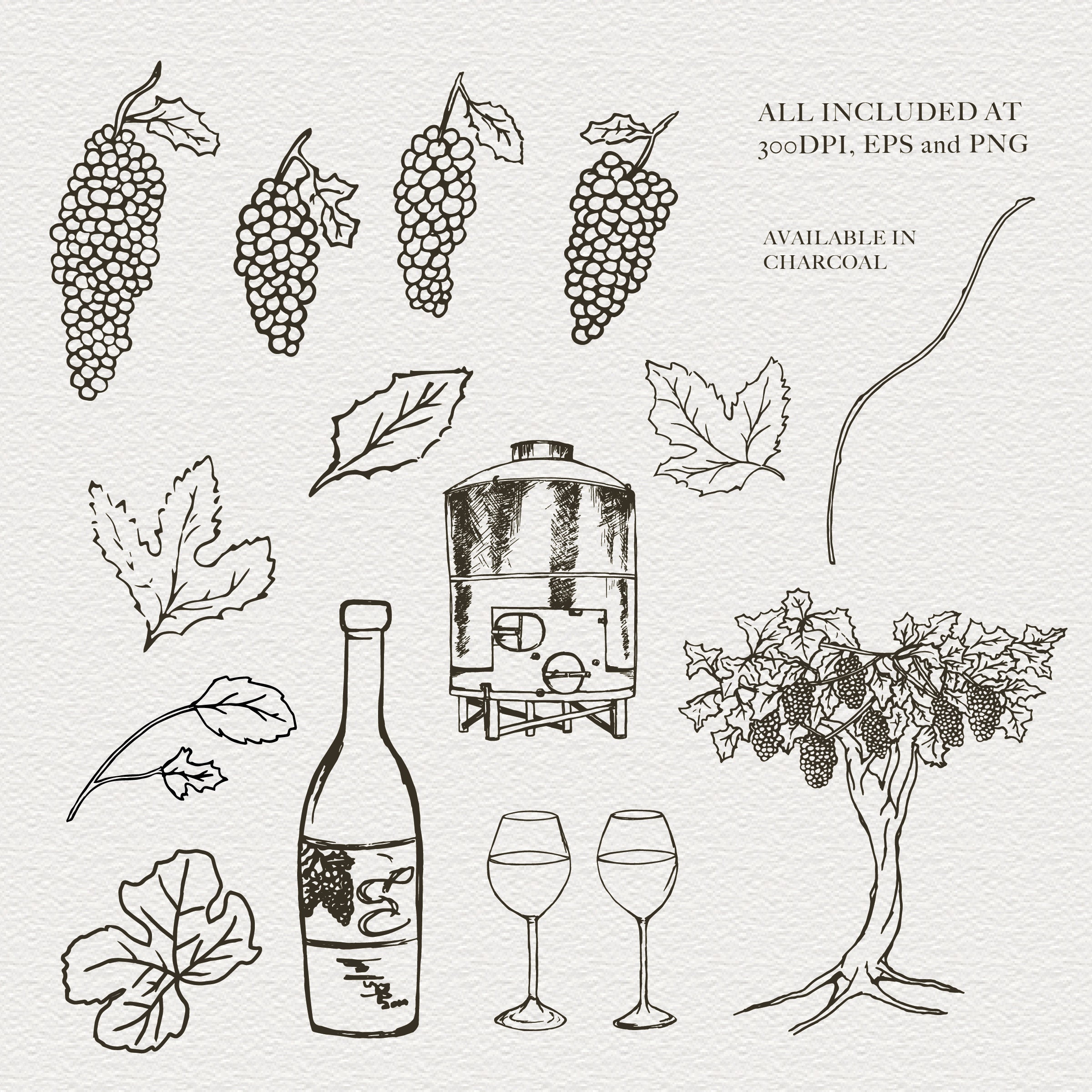 Grape Vines Hand Drawn Line Art Hand Drawn Grape Vines Wine - Etsy