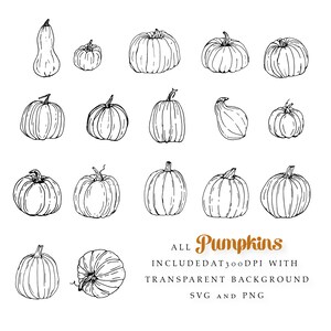 Fall Clipart, Pumpkin Line Art, Autumn Clipart, Hand Drawn Pumpkins and ...
