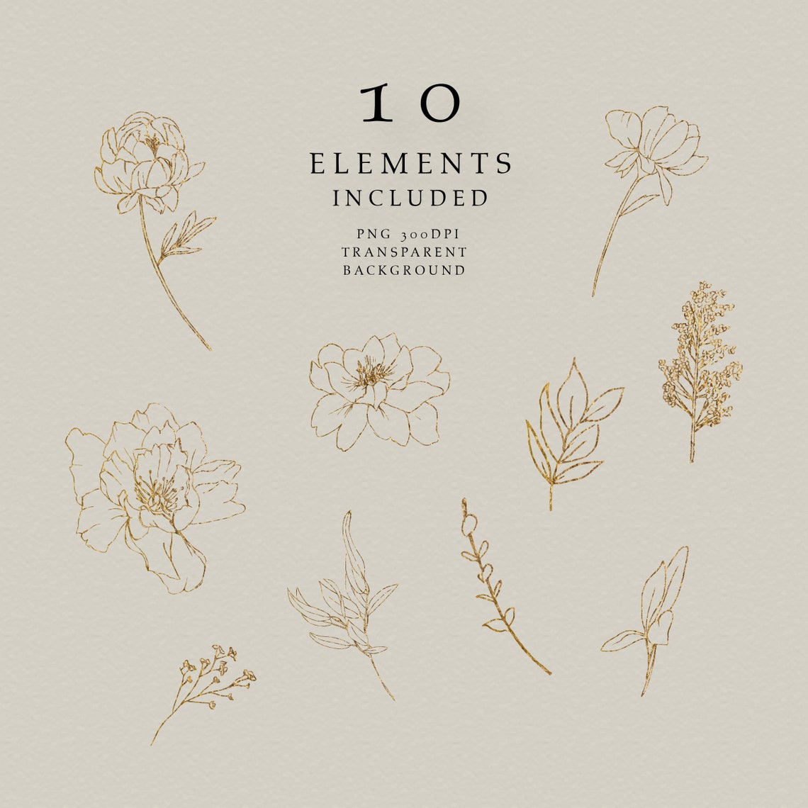 Gold Frame Floral Clipart, Peony Gold Frames With Gold Flowers Organic ...