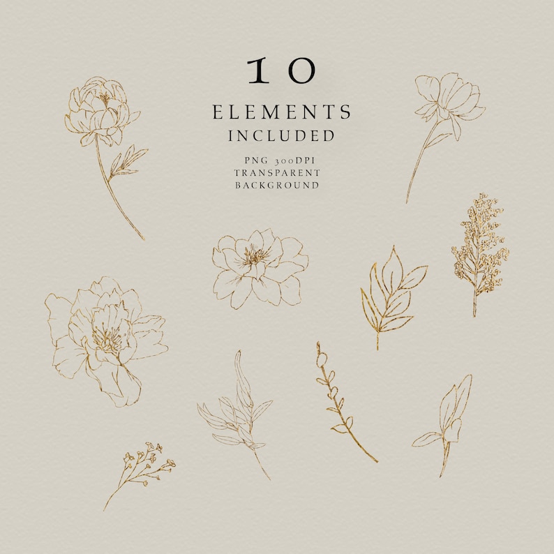 Gold Frame Floral Clipart Peony Gold Frames With Gold Flowers - Etsy