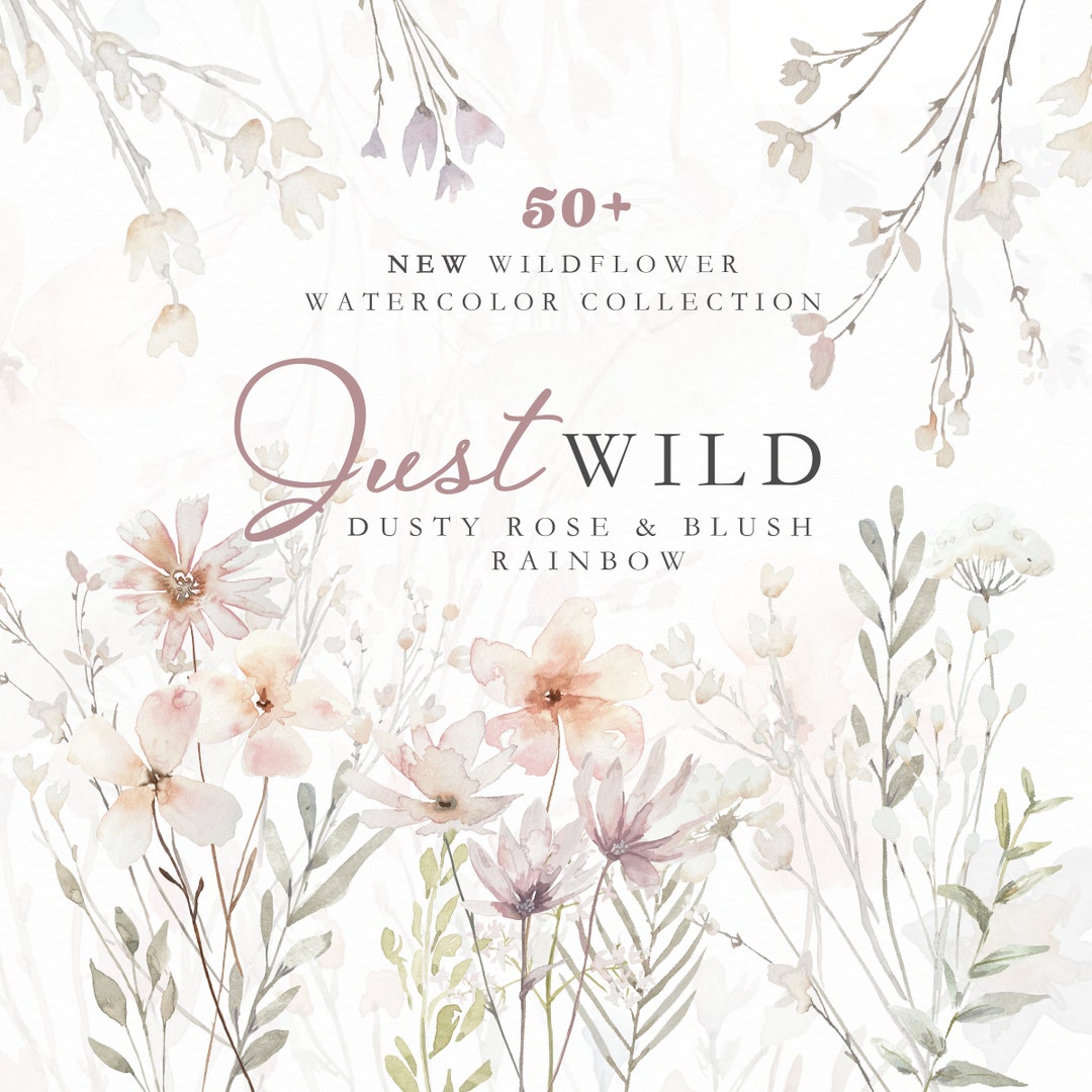 Watercolor Wildflowers, Dusty Rose Wild Floral Clipart, DIY Watercolor ...