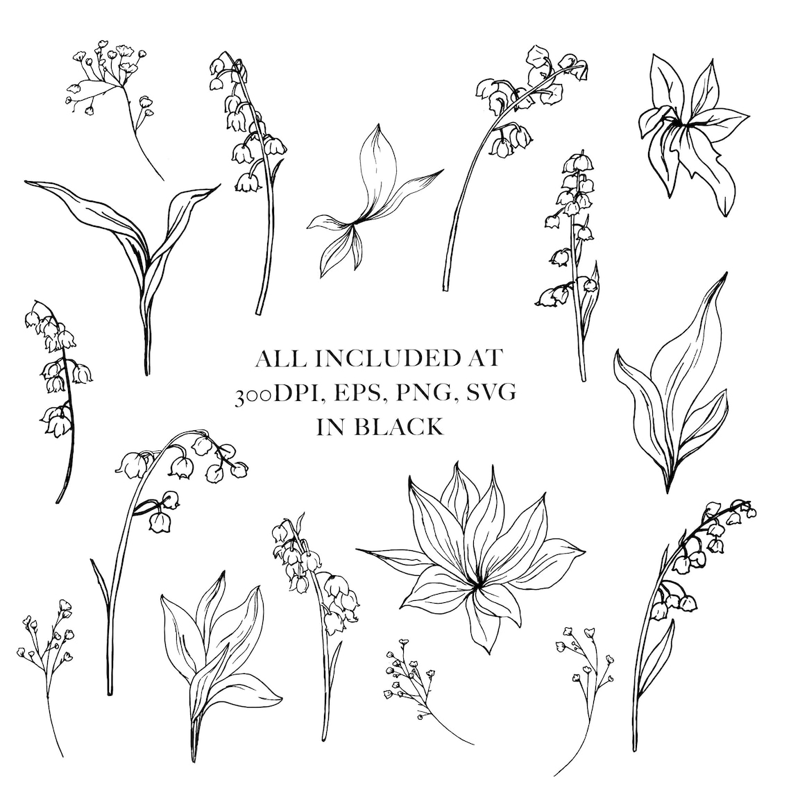 Lily of the Valley Hand Drawn Line Art Organic Botanical - Etsy
