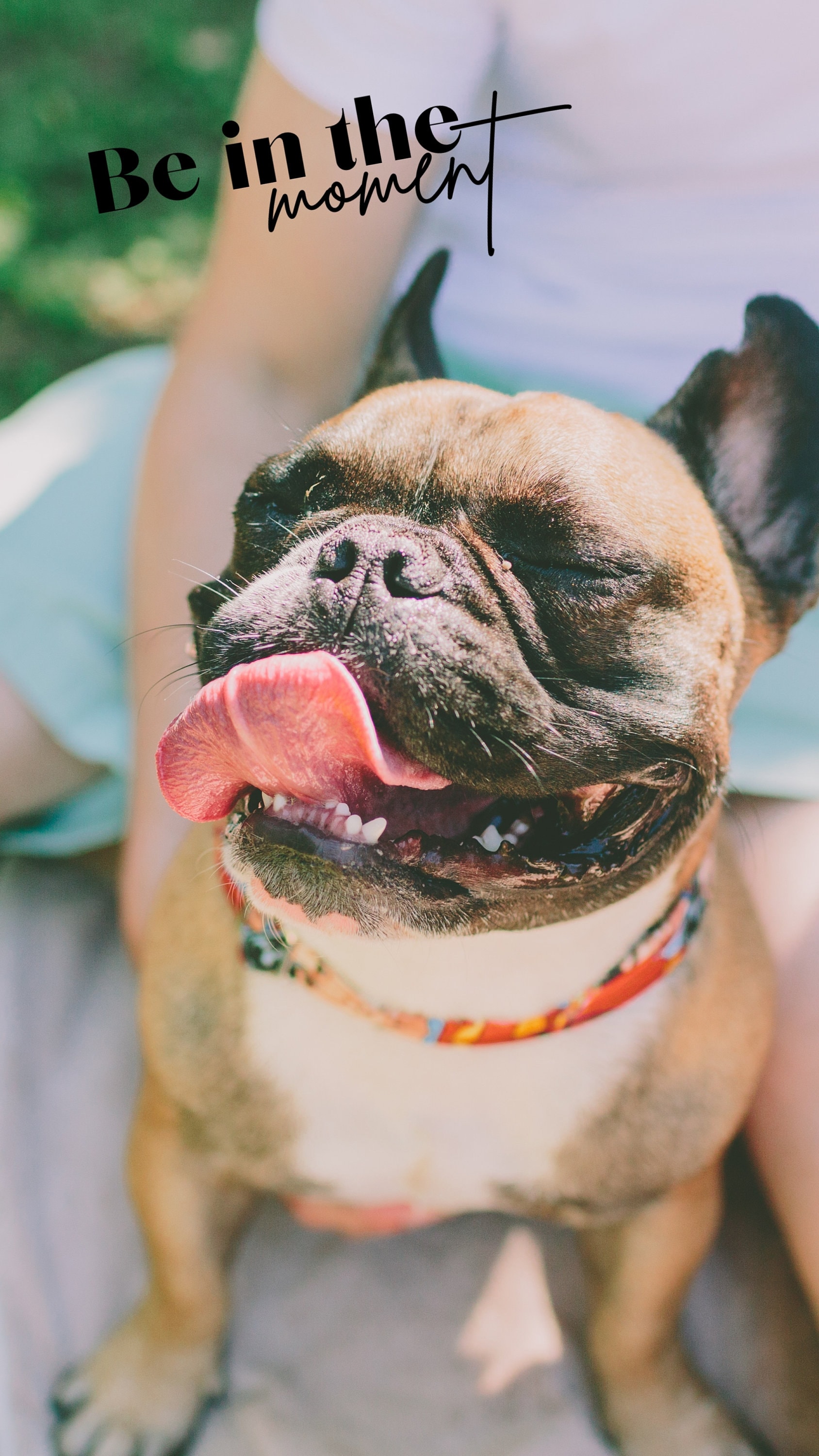 150 Story Sticker Bundle, Instagram Stickers, Social Media Influencers ...